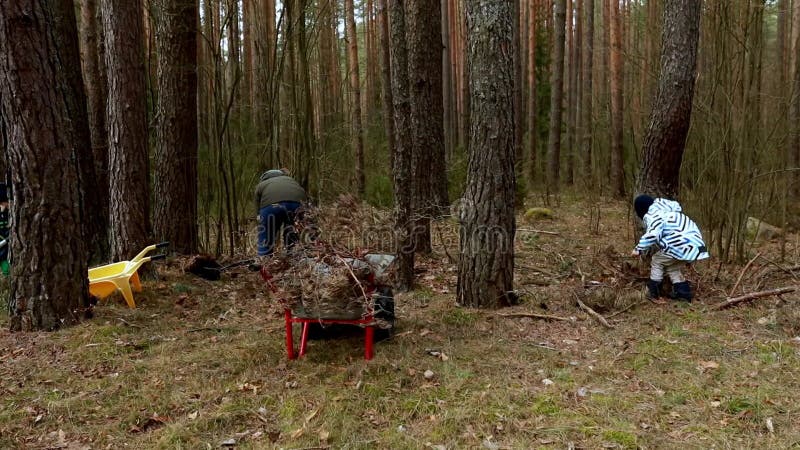 Community Members Clean Up Forest Area while Practicing Teamwork and ...