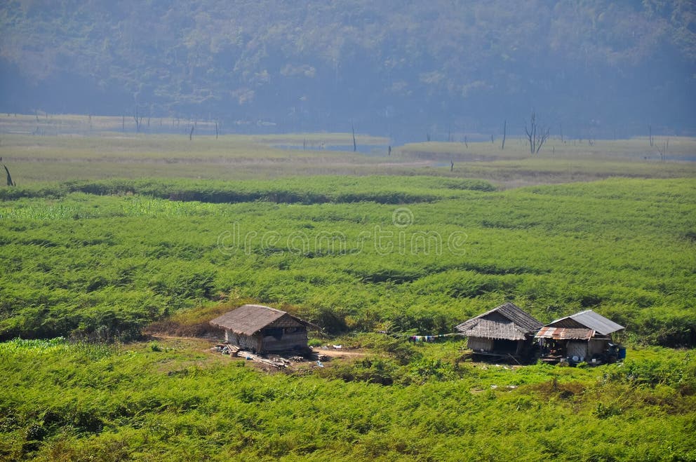 Community of Mon people stock image. Image of forest - 23700727