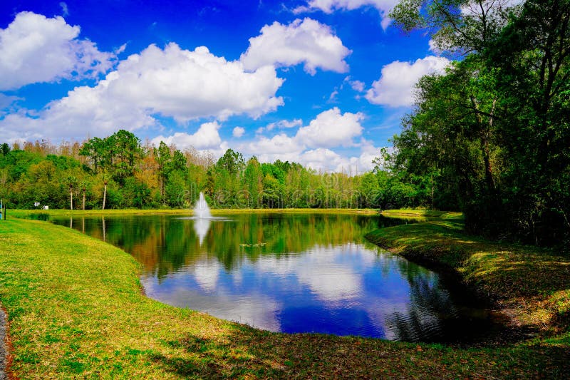 A community pond in spring stock image. Image of bird - 310472515