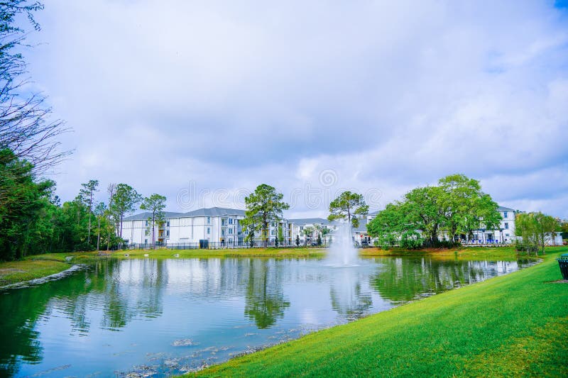 A community pond in spring stock photo. Image of palm - 311234624