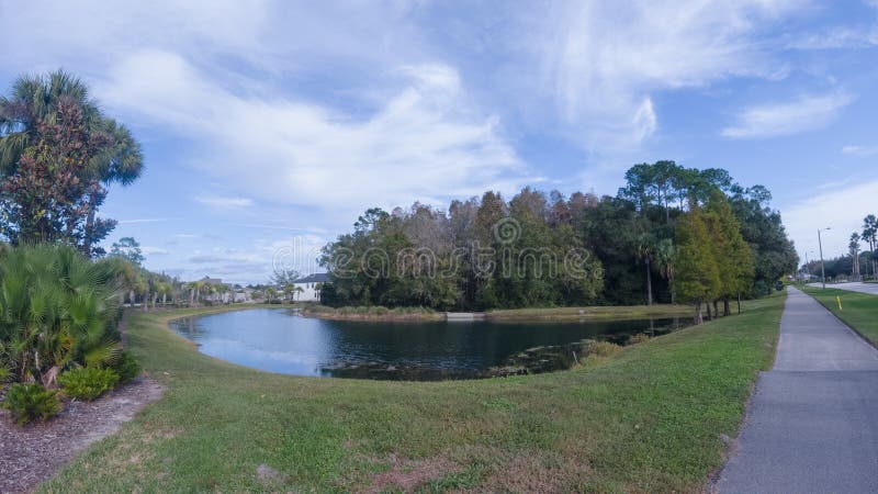 A community pond and tree stock image. Image of florida - 164867361