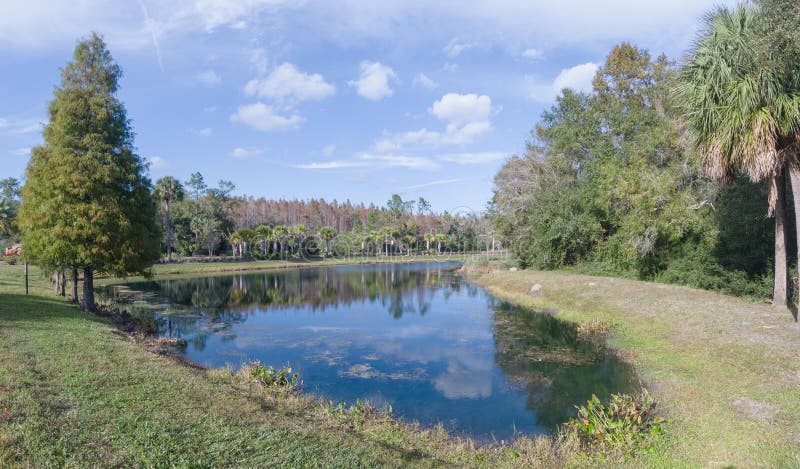 A community pond and tree stock image. Image of beautiful - 164867405