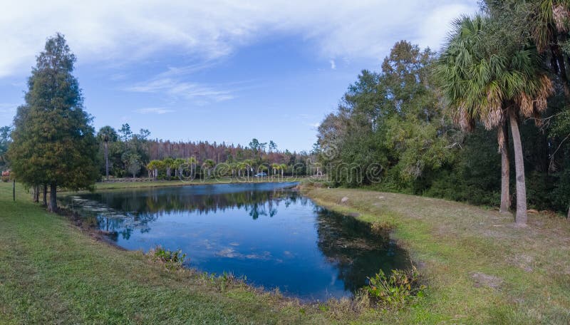 Pond, Tree Near a Lake, Marsh, Nature, Landscape, Green, Healing and ...