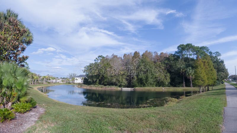 A community pond and tree stock photo. Image of clearwater - 164867394