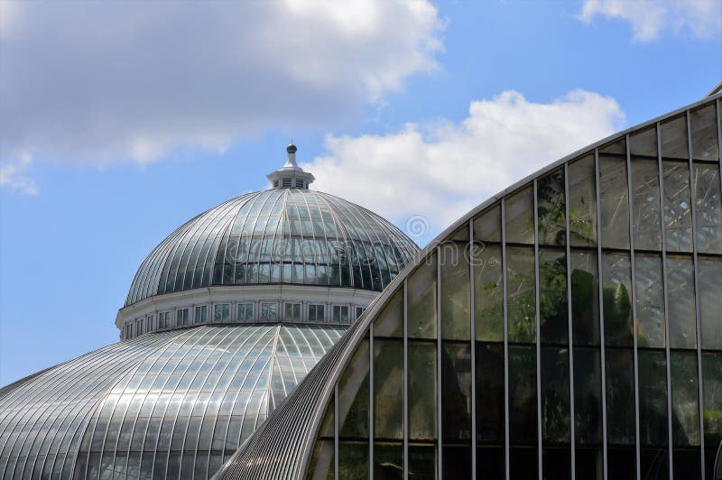 Como Conservatory editorial stock image. Image of adventure - 75389689