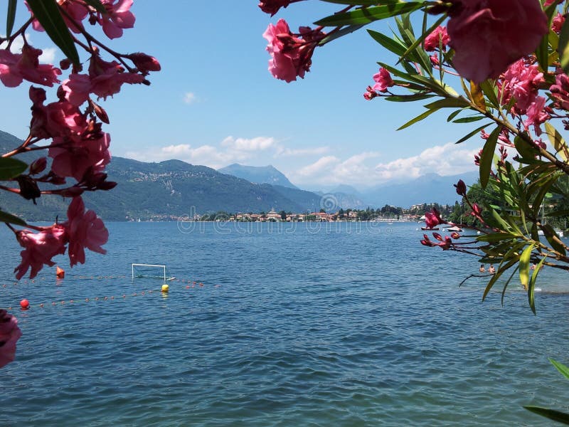 Como Lake stock photo. Image of pink, como, water, glare - 44024896