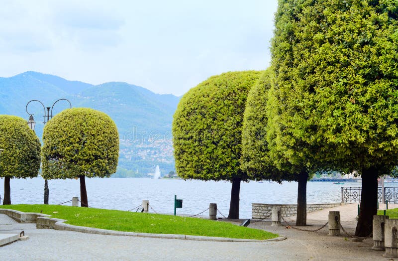 Como Lake, Trees on Lakeside. Italy, Europe. Stock Photo - Image of ...