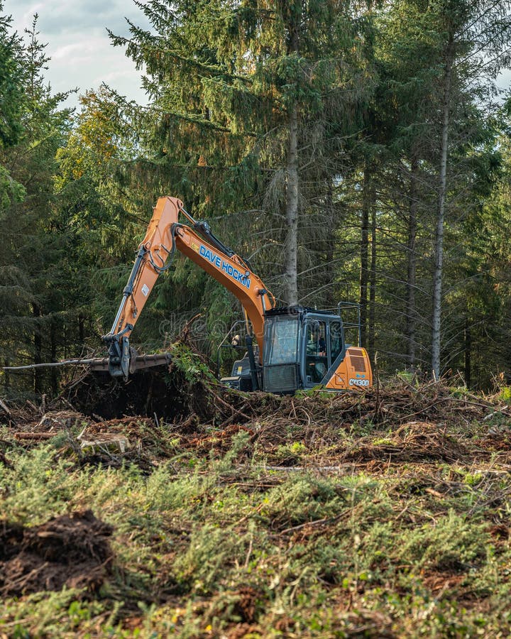 A Small Excavating Machine Cutting Up the Forest and Removing Trees ...