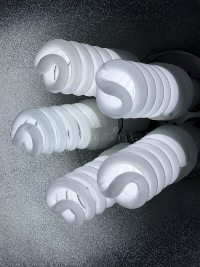 Light Bulb in Grass - Environmental Concept Stock Photo - Image of ...