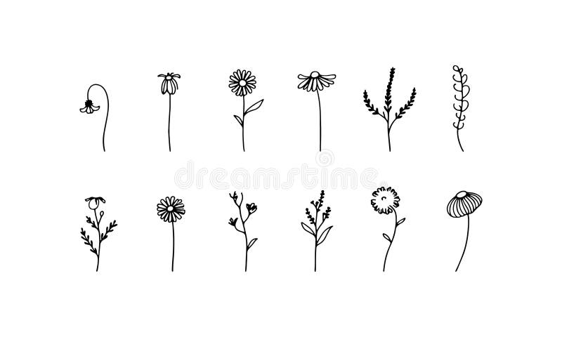 Compact Line Flowers. a Compact Layout of Floral Line Illustrations ...