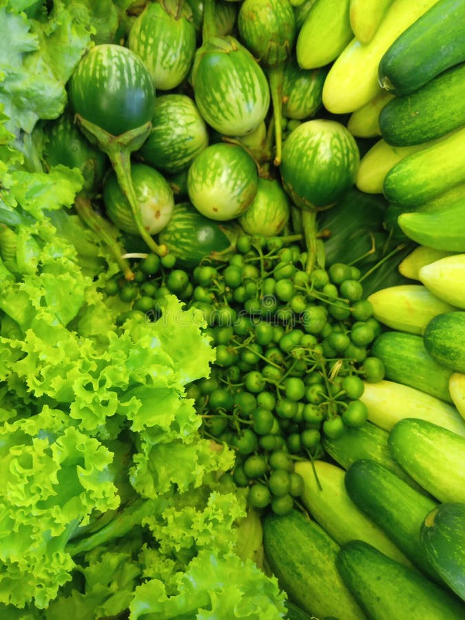 Compact Vegetable Color and Fresh To Look at Stock Image - Image of ...