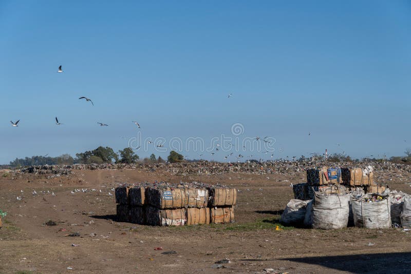 Compacted Garbage for Disposal in a Waste Processing Plant with Flock ...