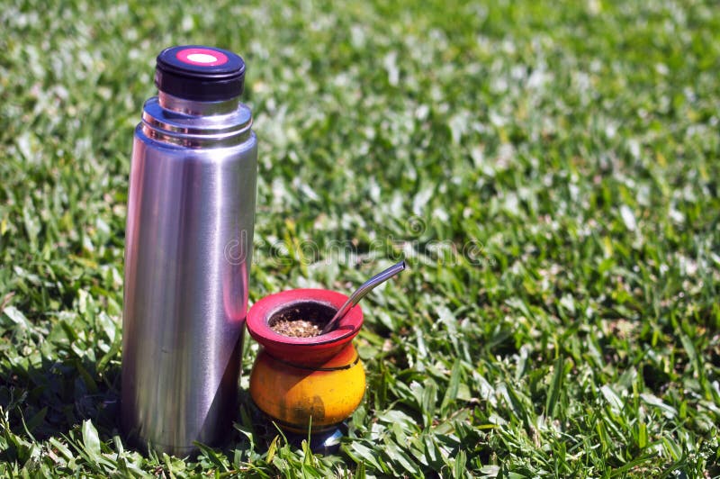 Compagno e termo bevanda fotografia stock. Immagine di caldo - 127854430