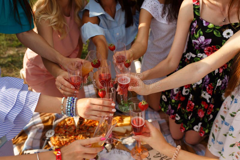 Company of Girls Cheers on Picnic Stock Photo - Image of hipster ...