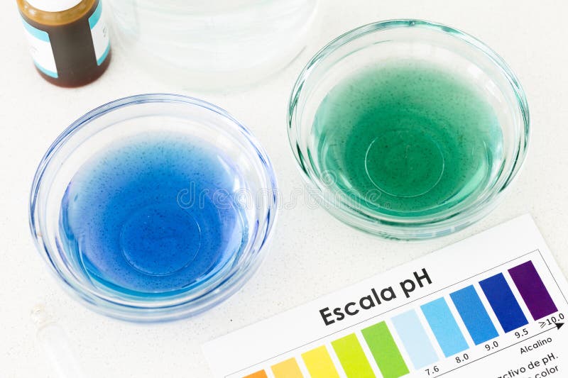 Comparative Ph Test Filtered Water Tap Using Indicator Drops Stock ...
