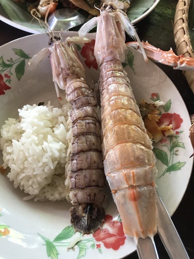 Steamed Crayfish or Mantis Shrimps or Stomatopods Stock Image - Image ...