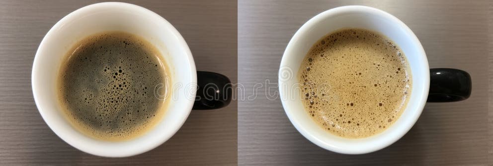 Comparison of Focus Levels with and without Caffeine Showing Different ...