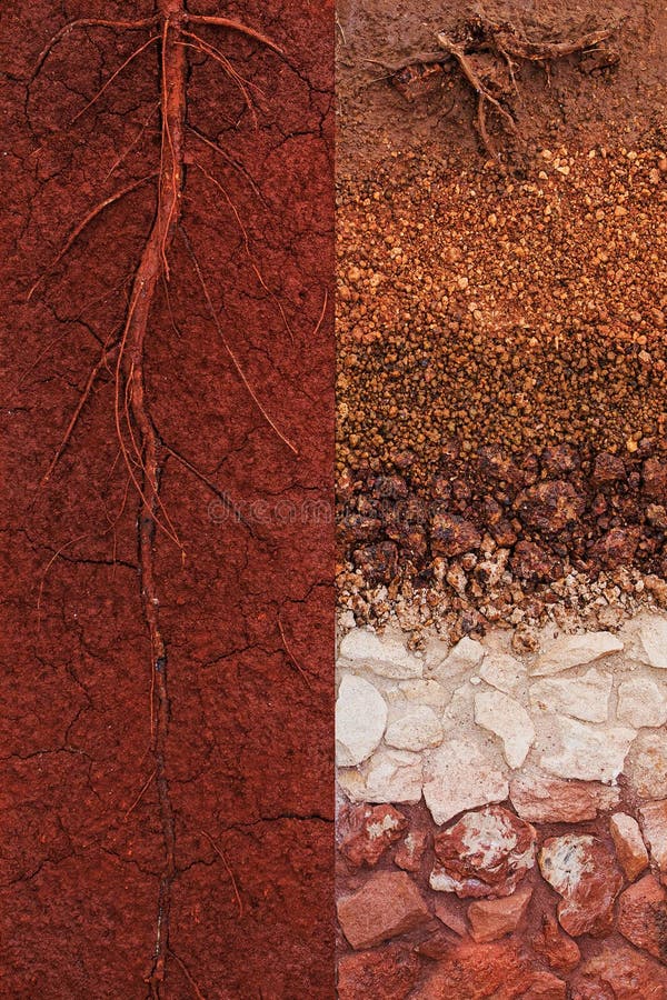 Soil Layers And,its Colours And Textures Stock Photo - Image of land ...