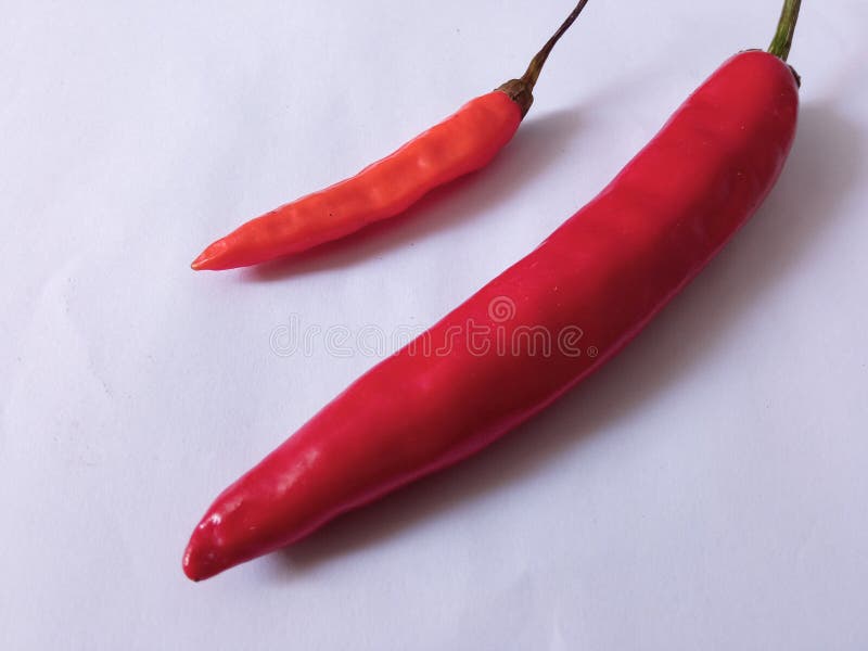 Comparison between Large Red Chilies and Cayenne Pepper Isolated on ...