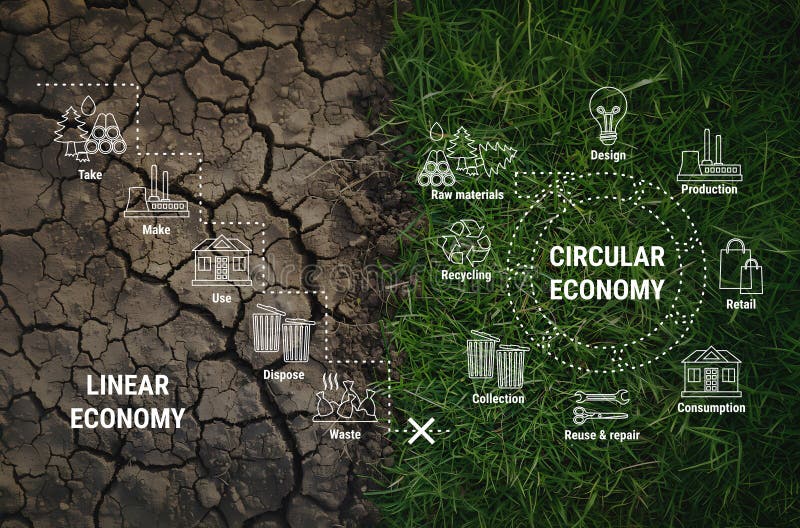 Comparison of Linear and Circular Economy Infographic on Dry Soil and ... Comparison of Linear and Circular Economy Infographic on Dry Soil and ...