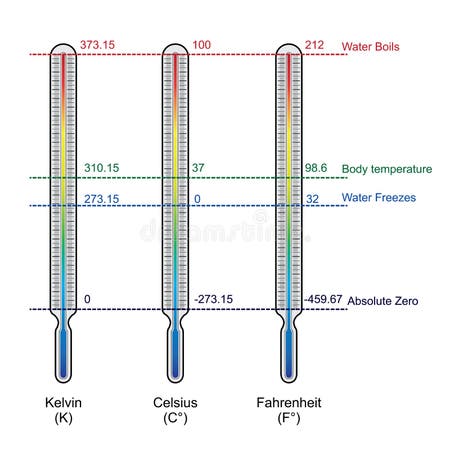 Comparison of Three Temperature Scales Vector Stock Vector ...