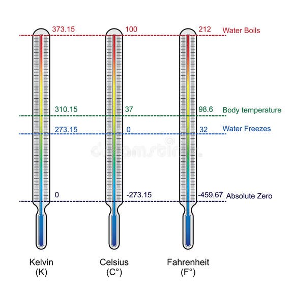 Comparison of Three Temperature Scales Vector Stock Vector ...