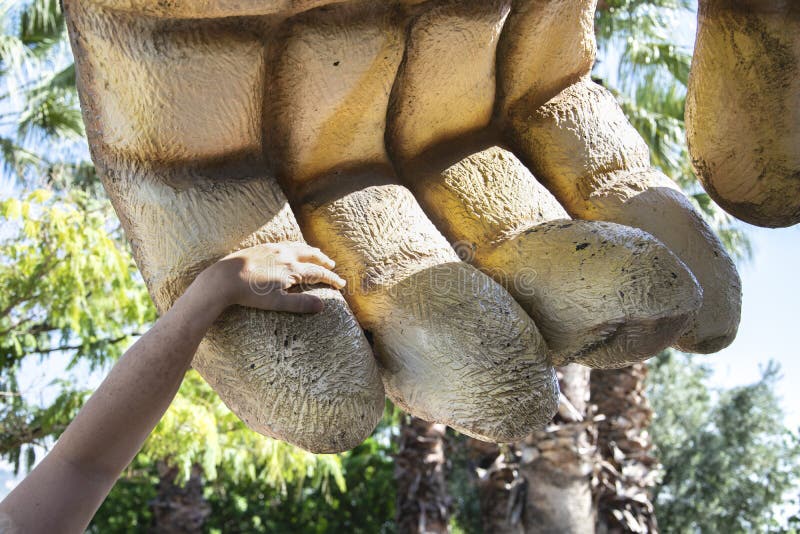 Comparison between Two Hands. Stock Photo - Image of cardboard, giant ...
