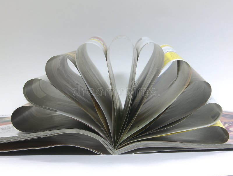 Compartimento imagem de stock. Imagem de aberto, compartimento - 4364595