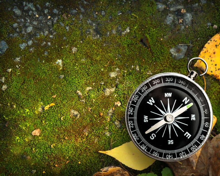 Compass on autumn foliage stock photo. Image of compass - 35588706
