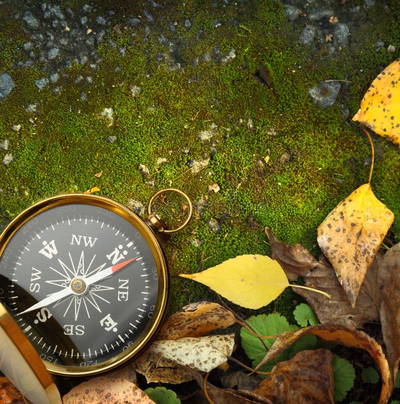 Compass on autumn foliage stock photo. Image of lawn - 35588754