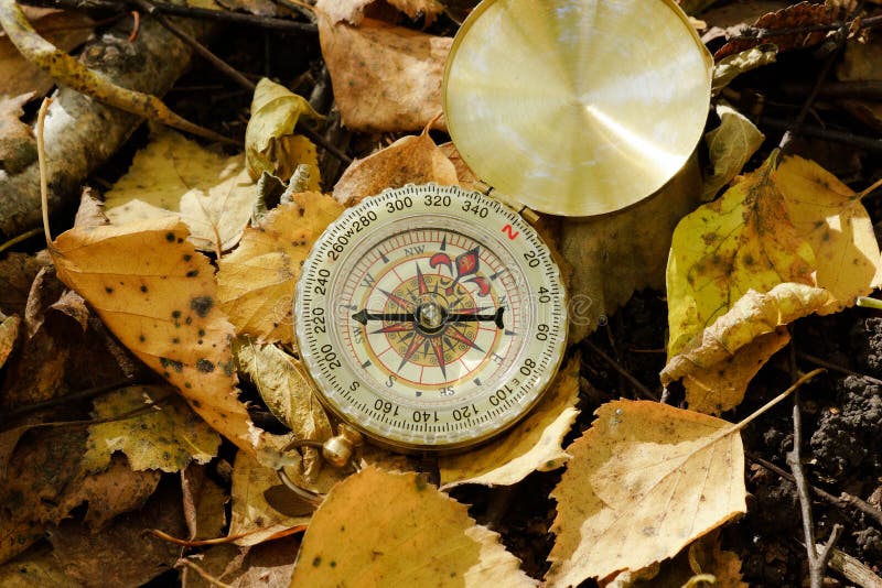 Compass on autumn foliage stock image. Image of fall - 35588751