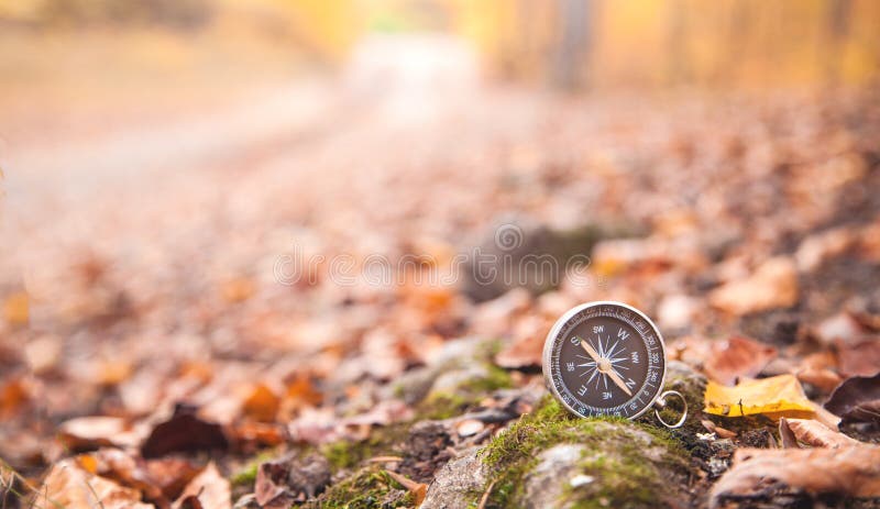 Compass in Autumn Leaves. Forest Stock Image - Image of park, nature ...