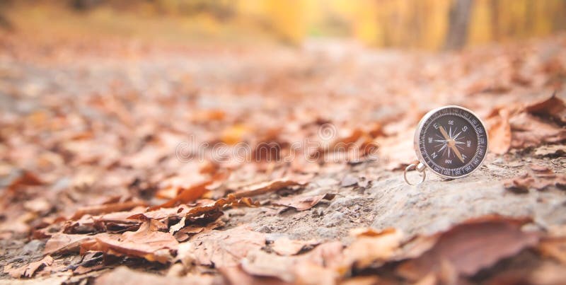 Compass in Autumn Leaves. Forest Stock Photo - Image of south, east ...