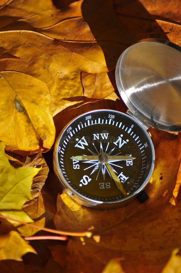 Compass on autumn leaves. stock image. Image of direction - 61474563