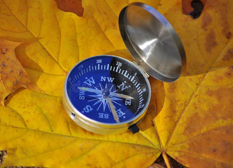 Compass among the Autumn Leaves. Stock Image - Image of objects, lost ...