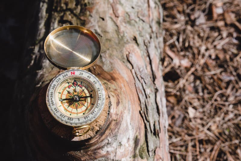 Compass stock photo. Image of direction, nature, north - 68444976