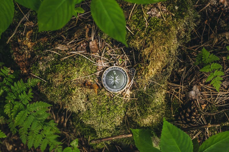 Compass in the Forest, Against the Background of Moss and Tree Leaves ...