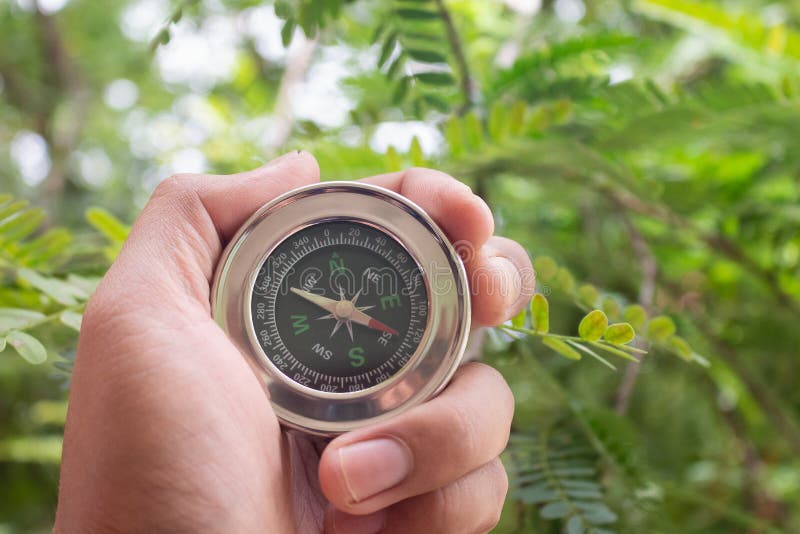 Compass in the forest. stock photo. Image of concept - 120197084