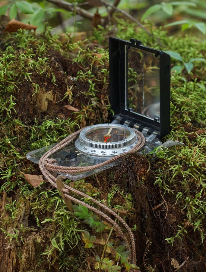 Hiking Compass in Forest stock image. Image of east - 291497949