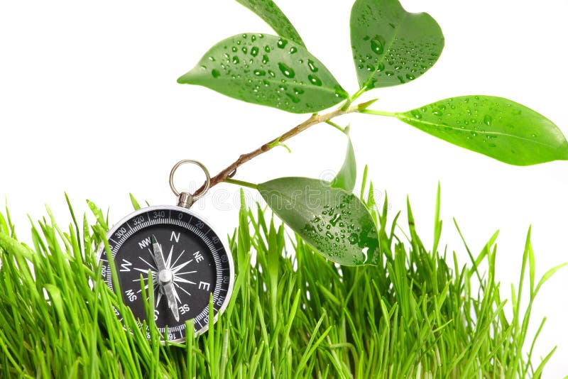 Compass in green grass stock image. Image of east, closeup - 13762577