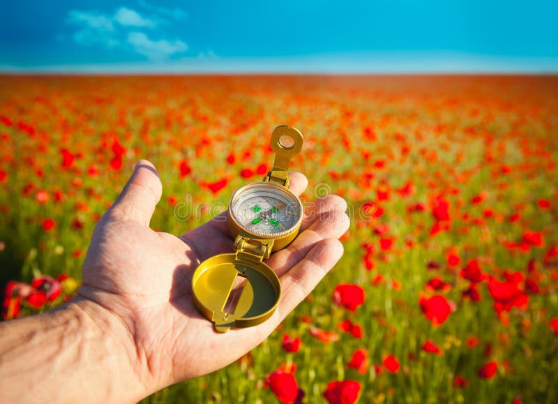 1,400 Hand Holding Poppy Stock Photos - Free & Royalty-Free Stock ...