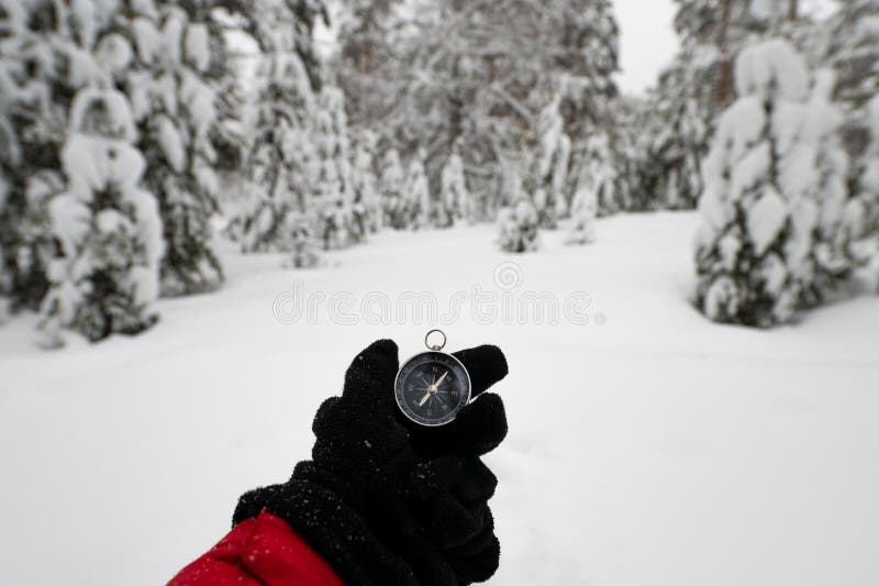 Compass in Hand in the Winter Forest Christmas Trees in the Snow Stock ...