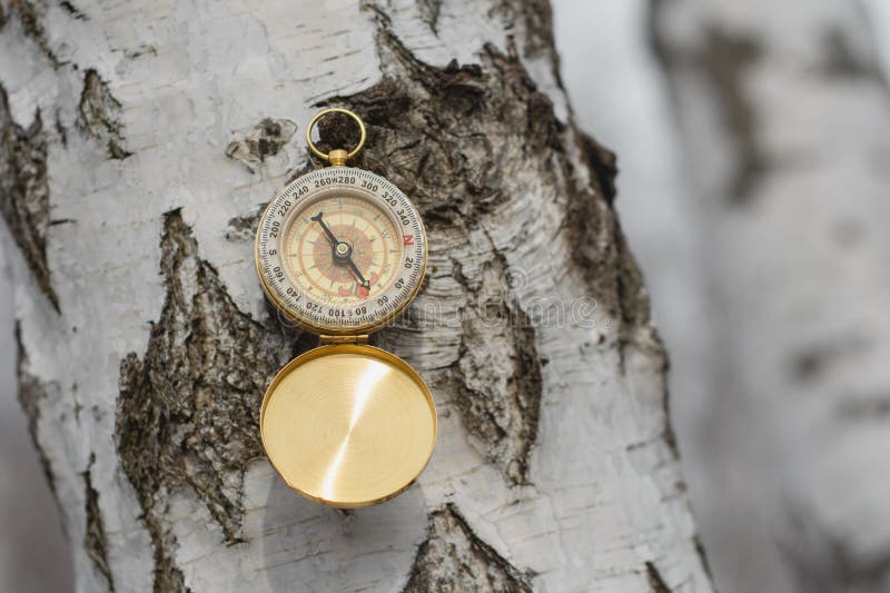 Compass Hanging on Birch Tree. Navigation Tool for Outdoor Adventure ...