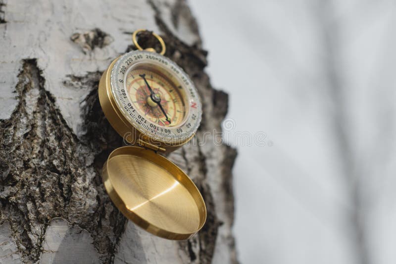 Compass Hanging on Birch Tree. Navigation Tool for Outdoor Adventure ...
