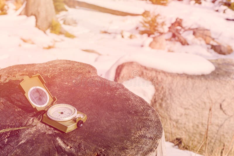 Compass Instrument on Tree Trunk. Stock Image - Image of outdoor ...
