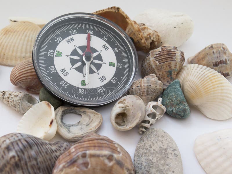 Compass and Interesting Seashells on a White Background on Travel and ...