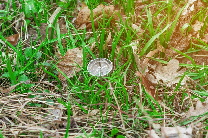 Compass Lies on the Ground in the Grass. Specifying the Direction of ...