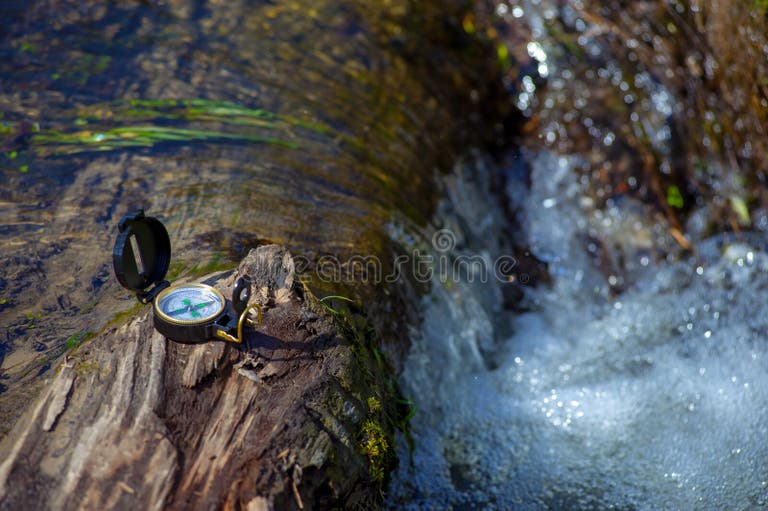 Rose Creek Pointer Stock Photos - Free & Royalty-Free Stock Photos from ...