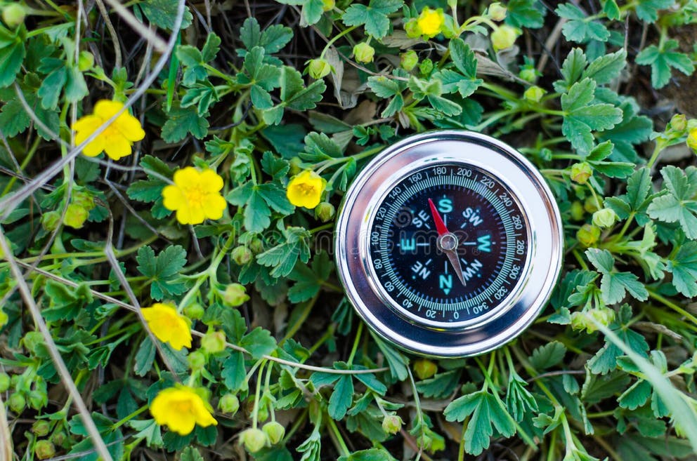 Compass lying on the grass stock image. Image of search - 91616299