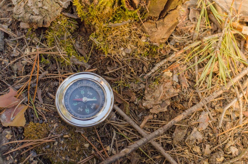 Compass lying on old moss stock photo. Image of search - 91642000